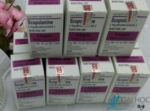 Thuốc scopolamine có tác dụng gì? giá bao nhiêu? có tốt hay không?